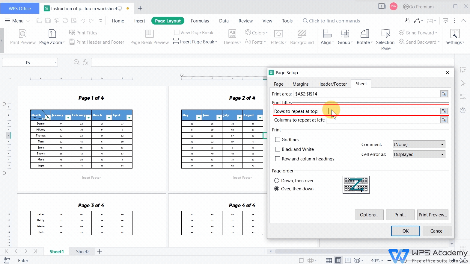 Instructions of page setup in worksheet | WPS Academy Free Office Courses