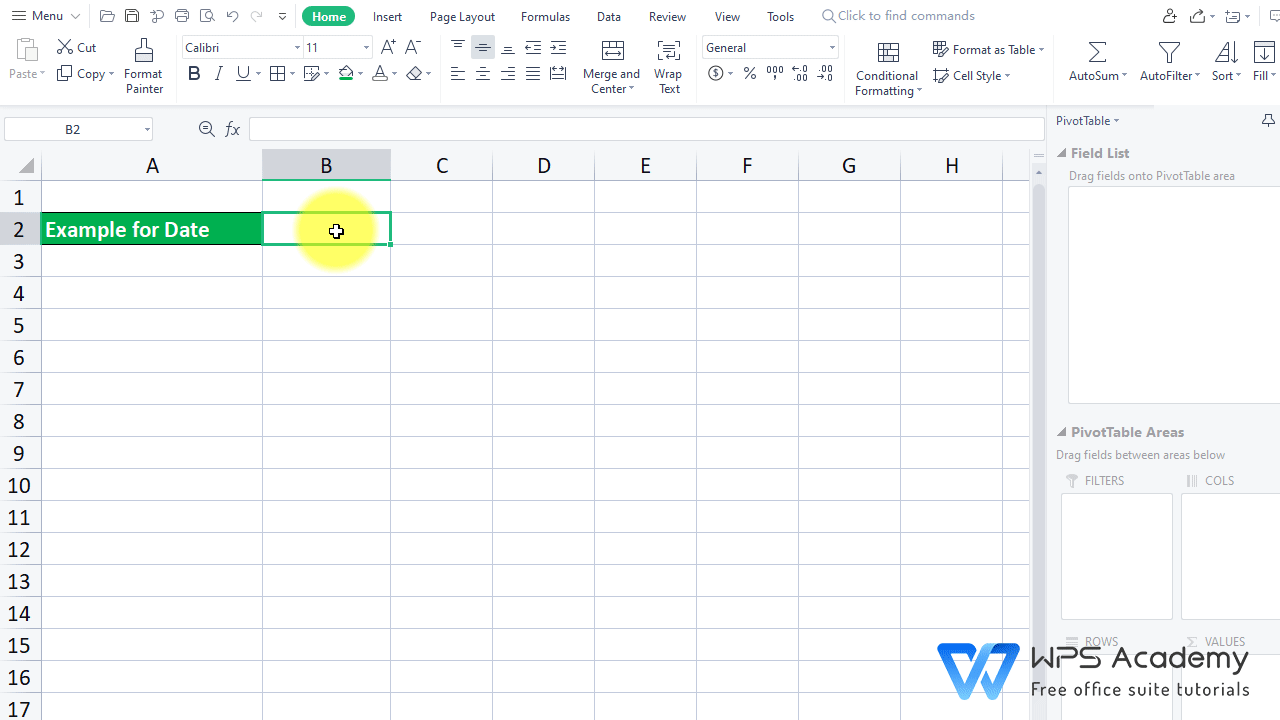 Date Format In EXCEL WPS Office Academy